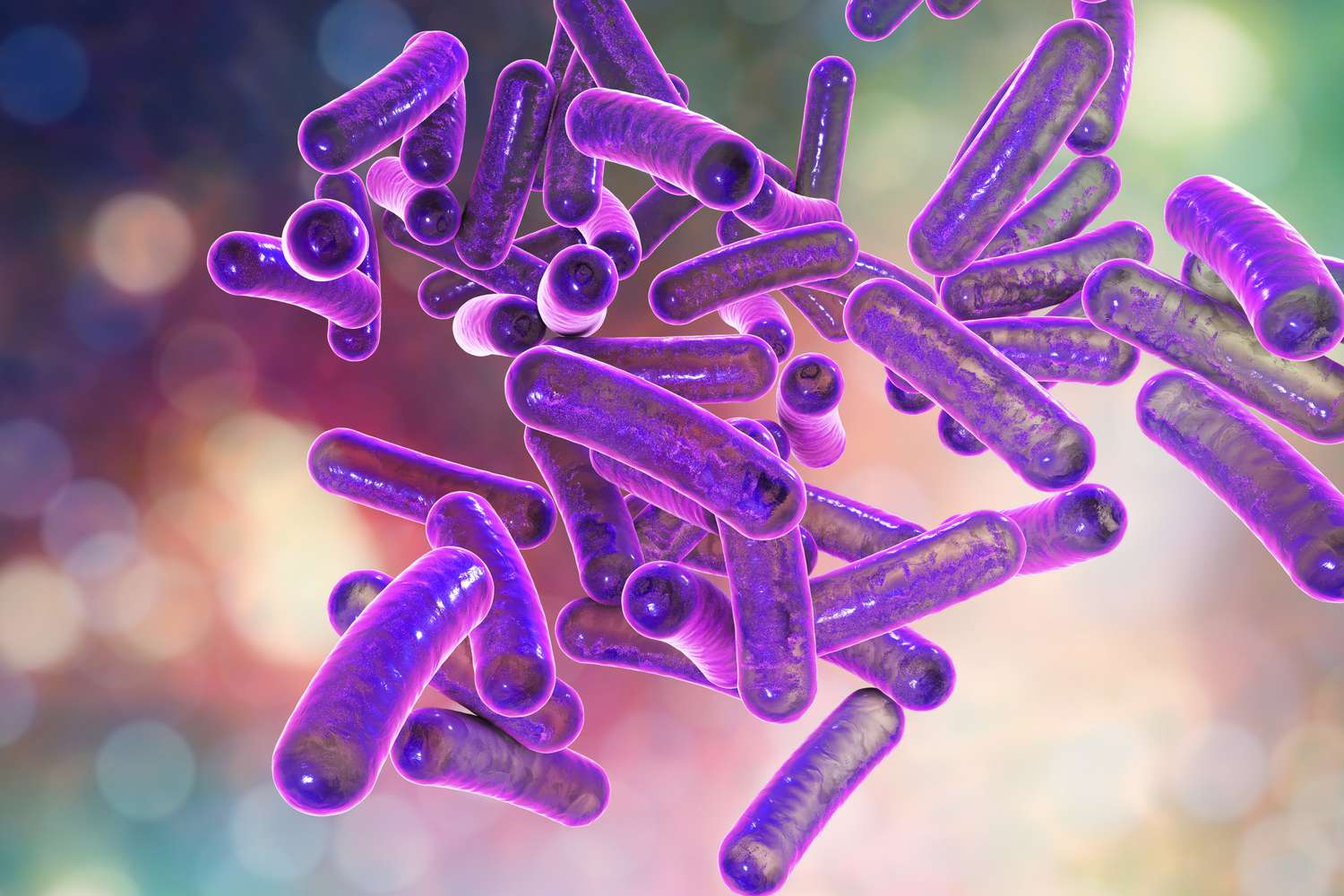 Prokaryotic Cell Quiz Quiz now