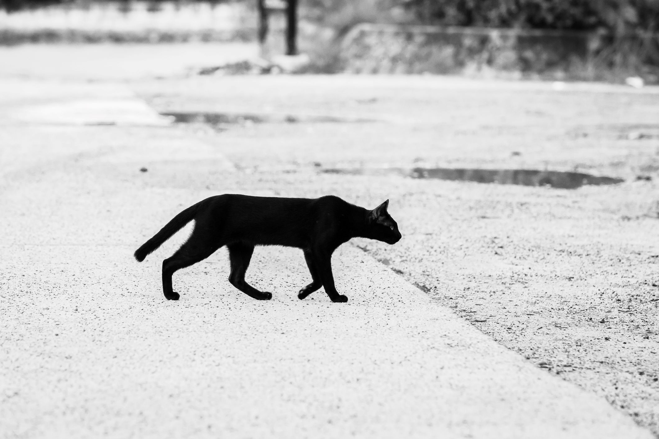 Superstition Quiz Quiz now